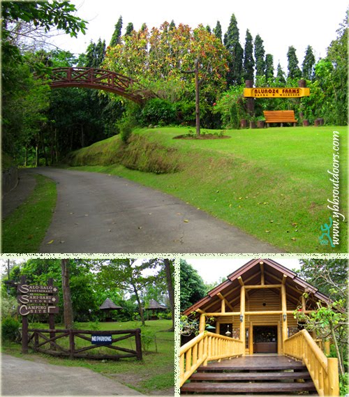 Blue Rose Farm Lipa Pictures - GOOGLESACK