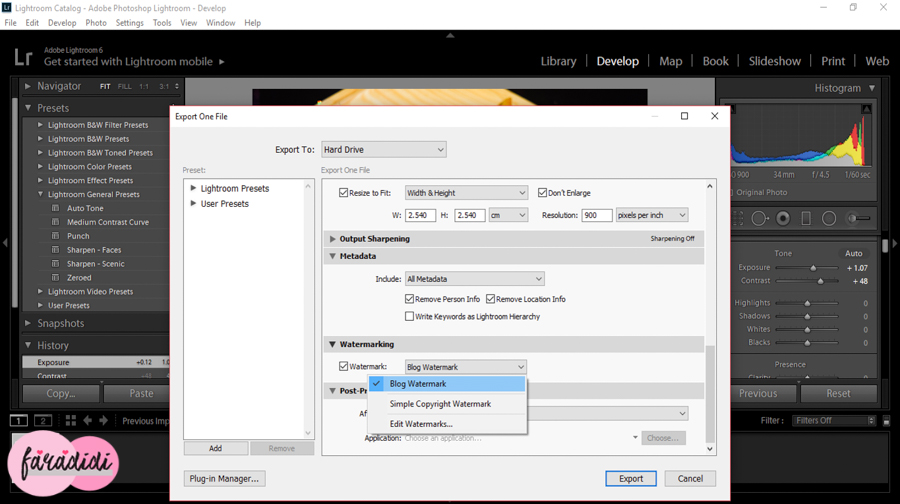 Easy Steps To Watermark Images In Lightroom