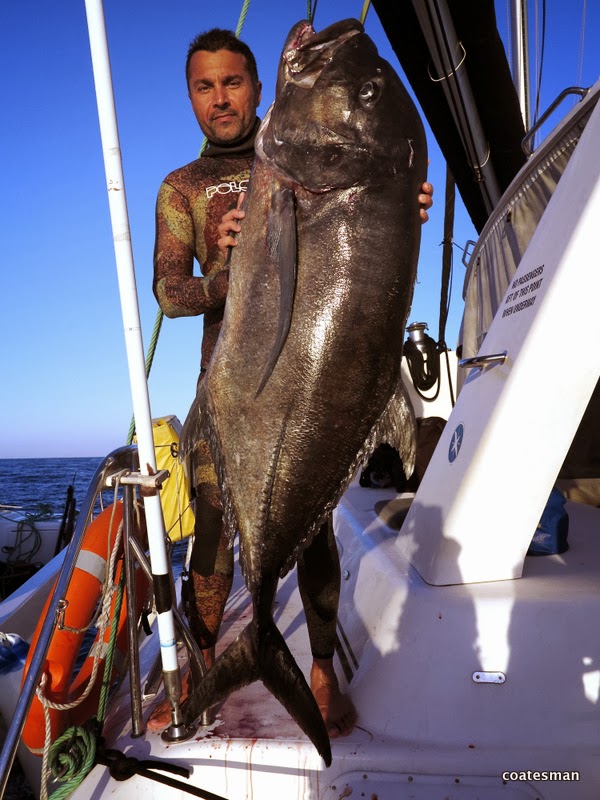 Coatesman's Spearfishing & Waterman's Blog: MJK Spearfishing Lazarus Banks