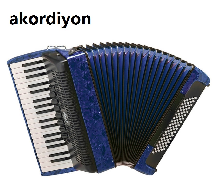 akordiyon - BilginCin