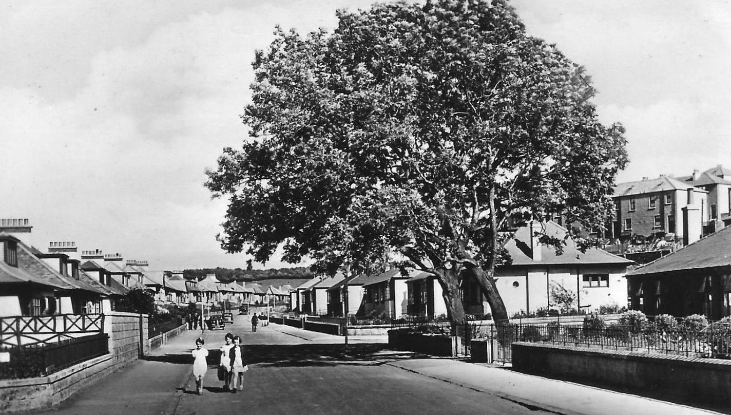 Tour Scotland: Old Photograph Nethervale Avenue Netherlee Scotland