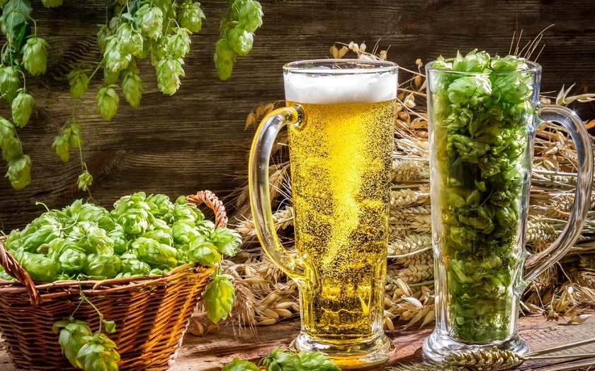 Chmiel - sprawdzony sposób na mocne i zdrowe włosy - Loczusiowo - blog ...