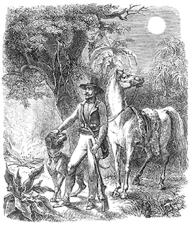 Christoph Roos: Fredéric Armand Strubberg