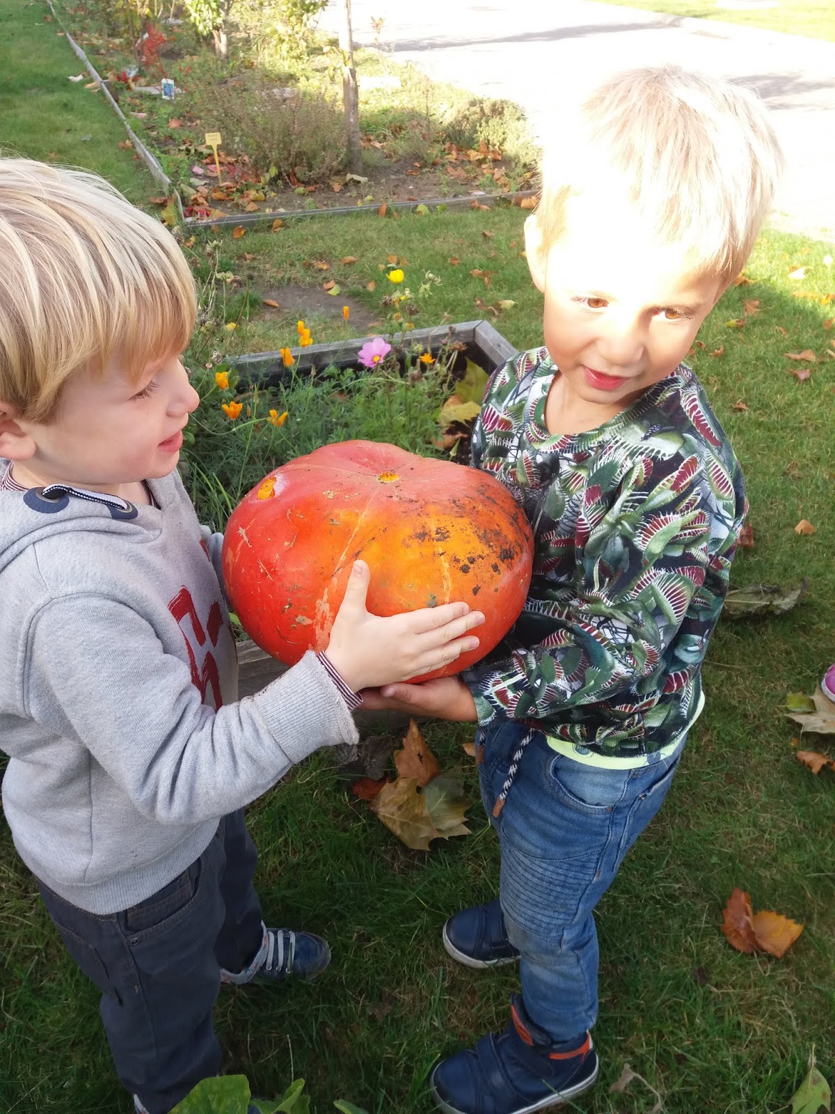 Peuterklas B / 1e kleuterklas B - juf Karolien / juf Amber en juf Jelte ...