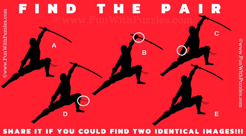 Engaging Find the Pair Visual Puzzle for High School Teens