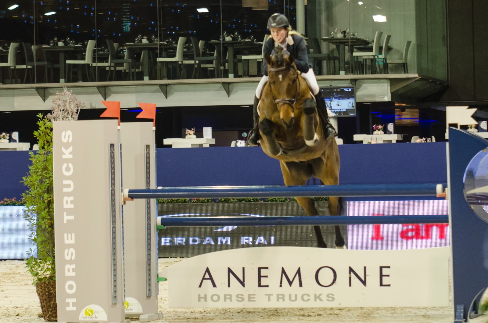 corbakphotography: Paardensport springen