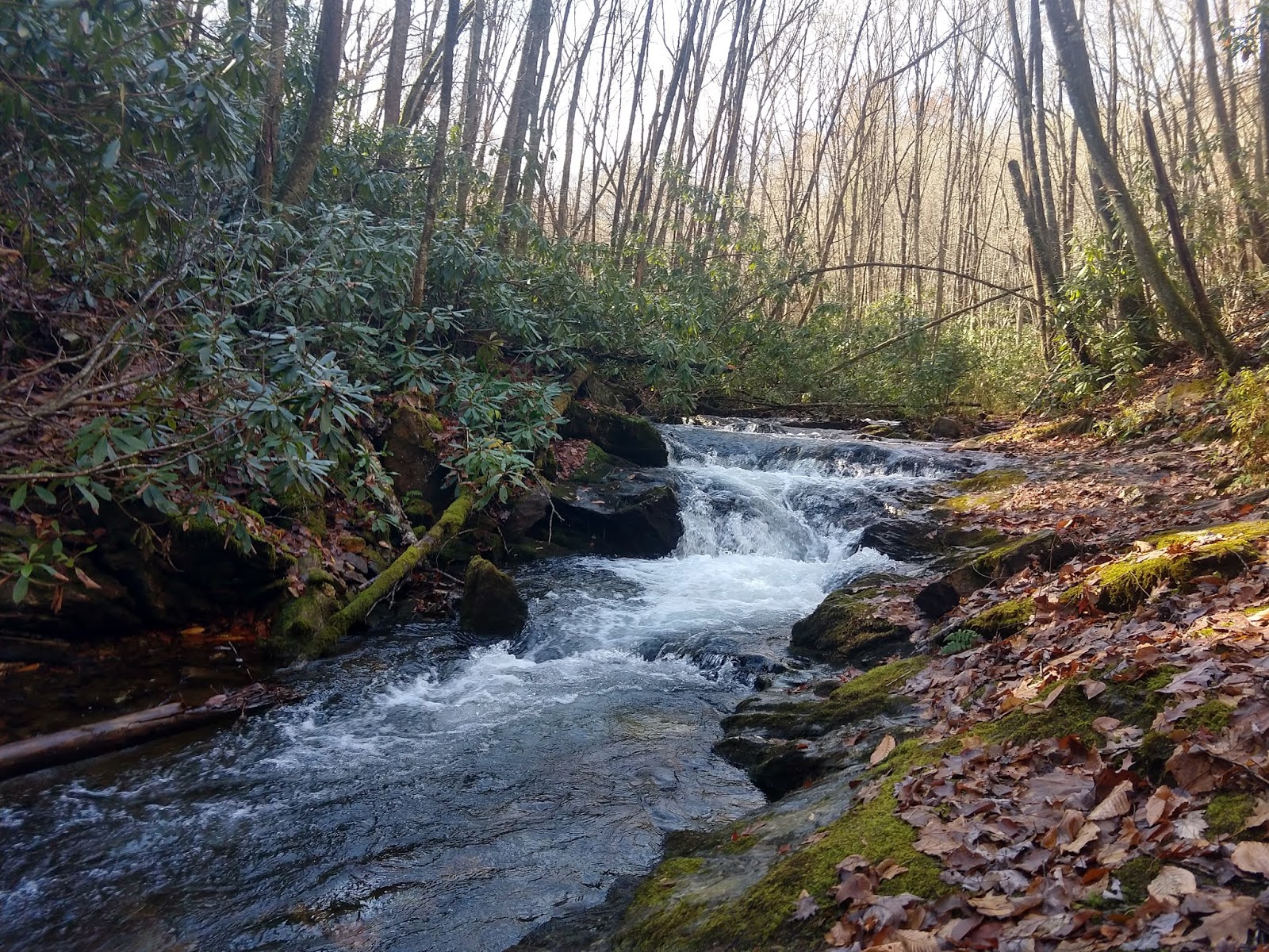 Backpack and Beer: Standing Indian Loop