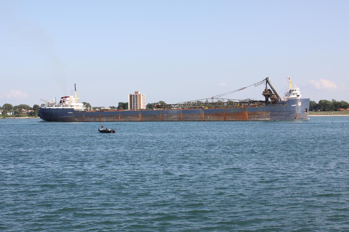 Michigan Exposures: The Algorail Again