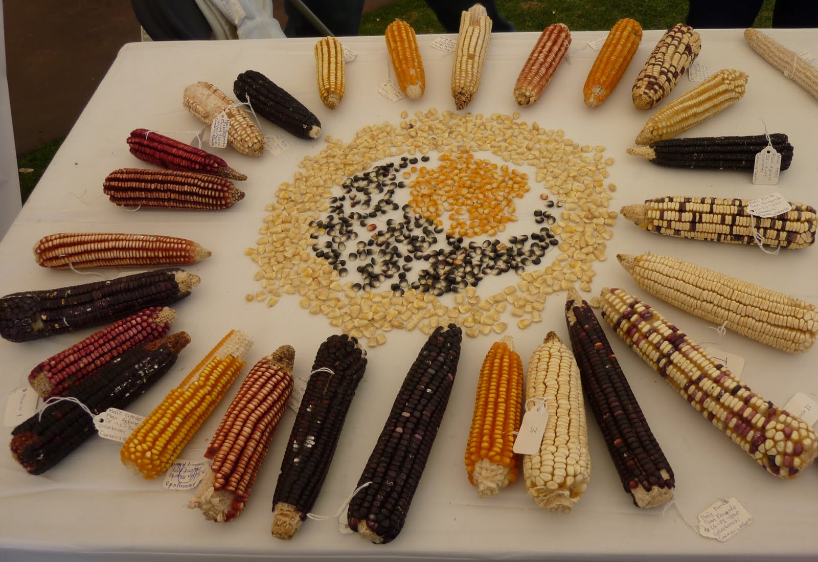 Os caminhos da Natureza