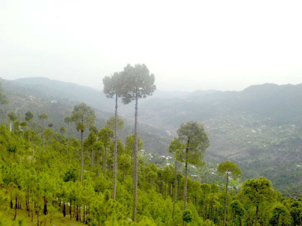 Murree the queen of hills