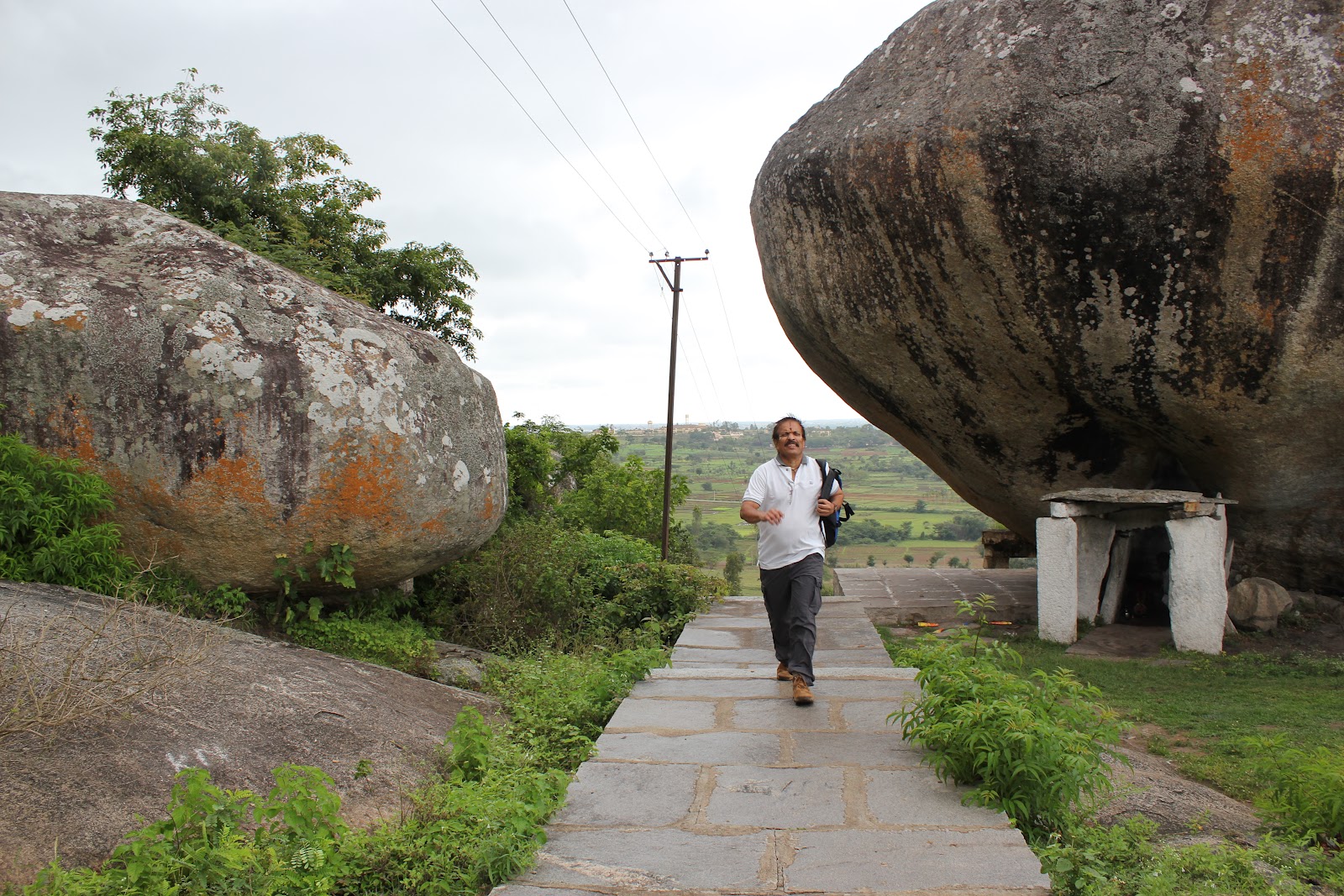 Ayurveda Guru: A visit to Mavinakere Ranganatha temple