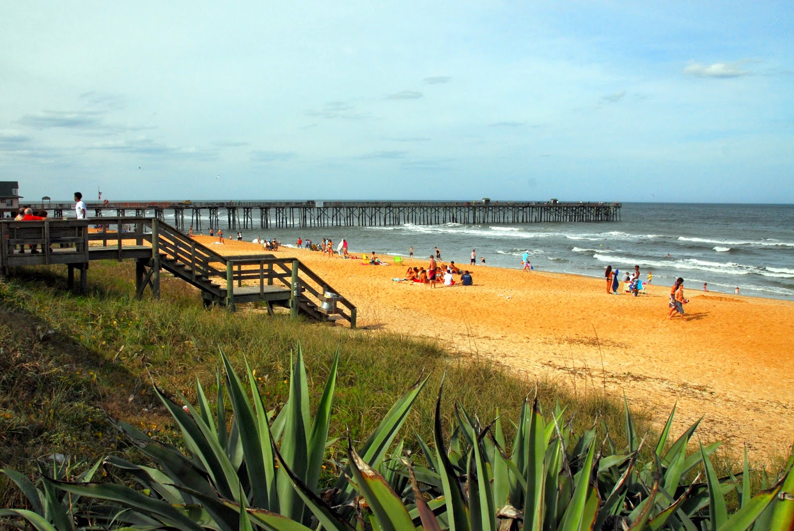 Crofts Wanderings Flagler Beach Fl