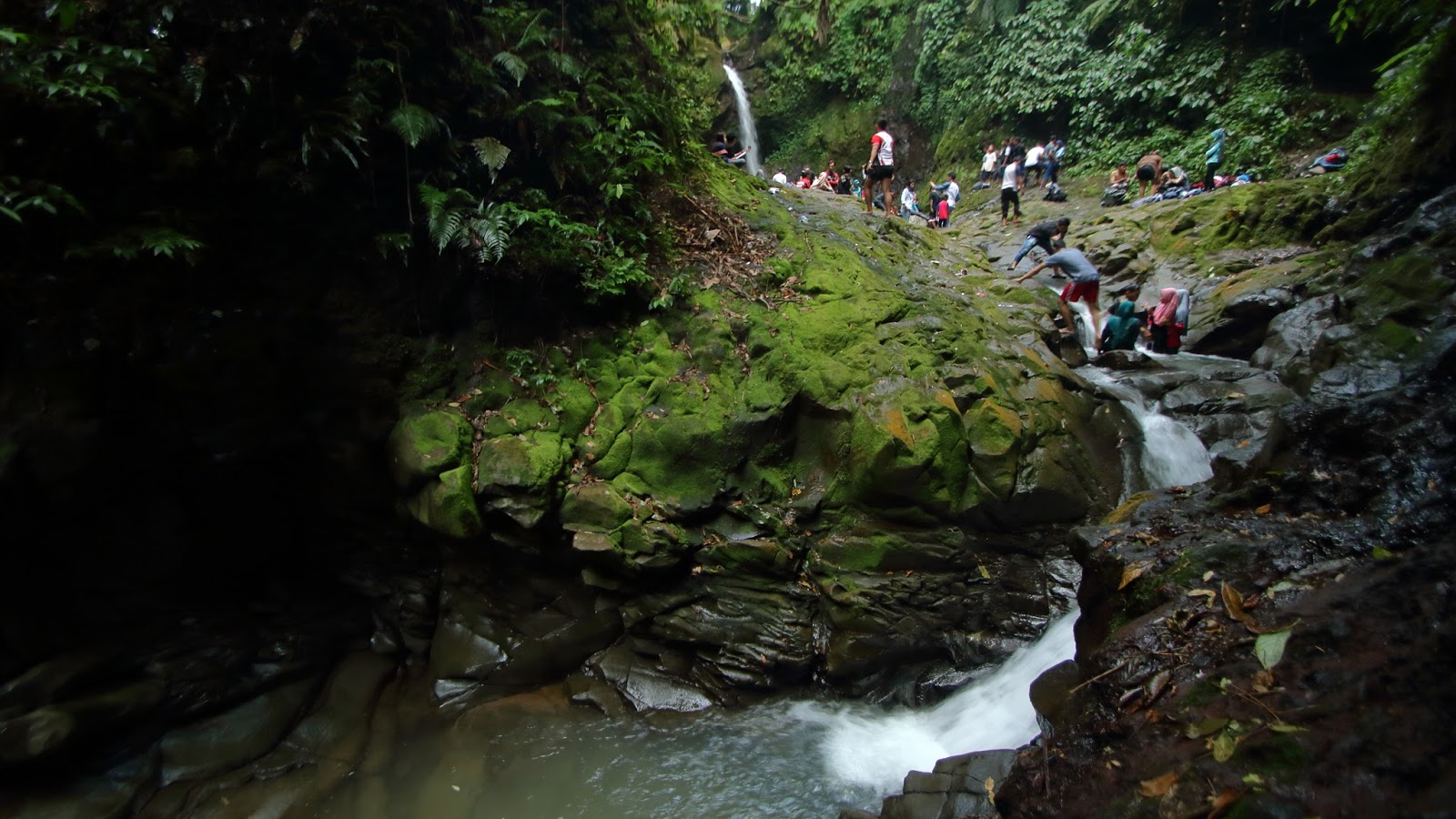Taman Nasional Gunung Halimun Salak: Mengunjungi Curug Ciparay Muara ...