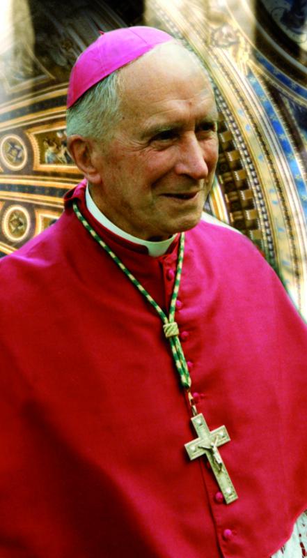 TRIREGNUM sensus catholicus: For Those Who Are Pro-, Anti-, and Just ...