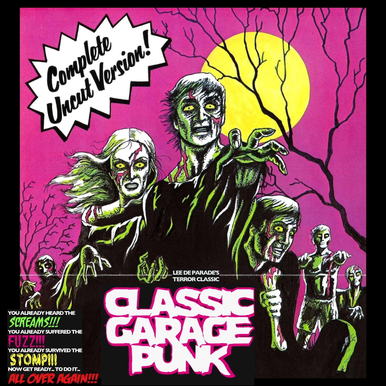 Sixties Garage Punk: Classic Garage Punk