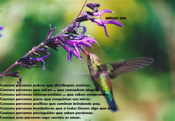 COSAS PARA COMPARTIR : TARJETAS CON FRASES