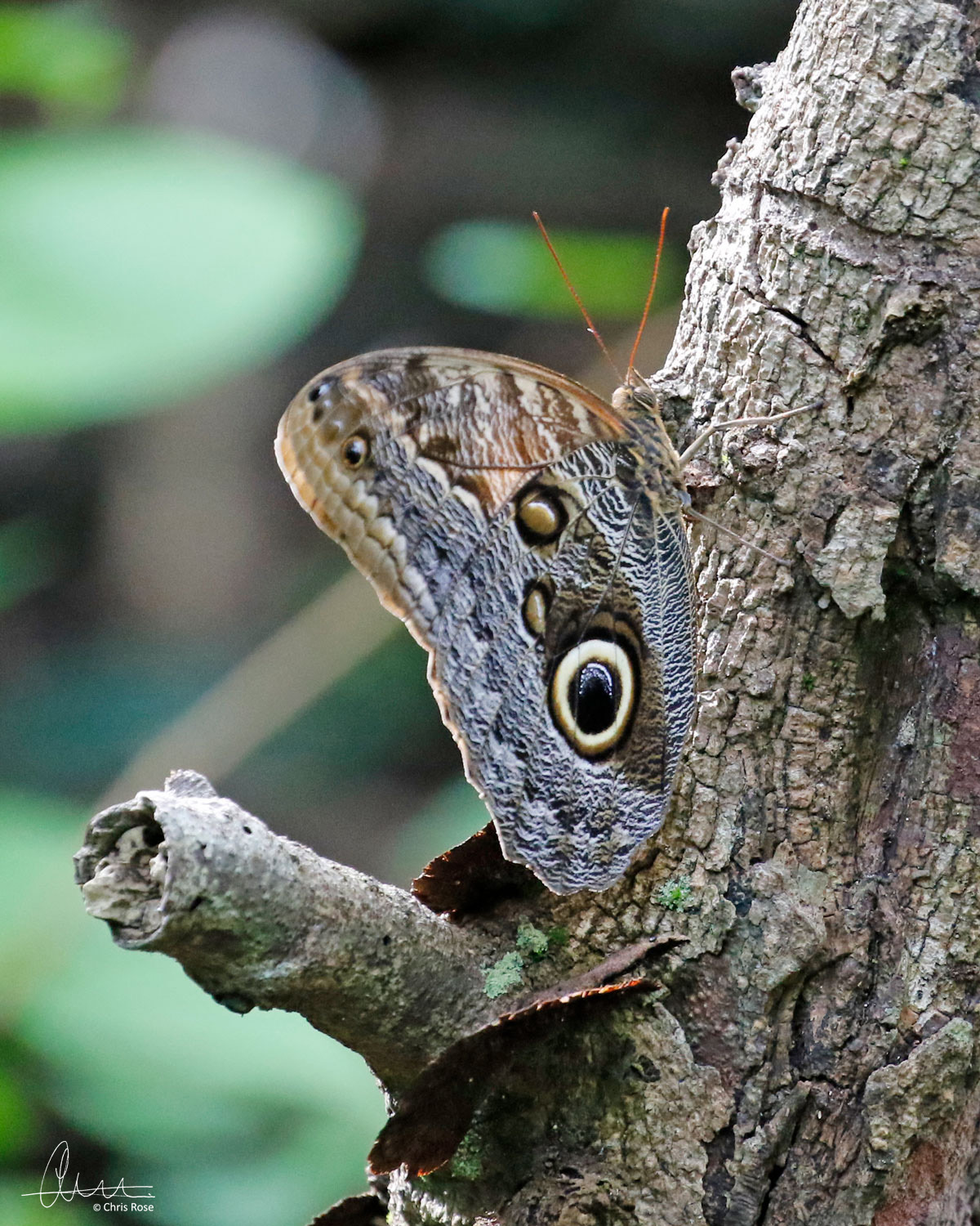 Away From Four Marks: 16th August - Tango Mar Beach Resort, Tambor ...