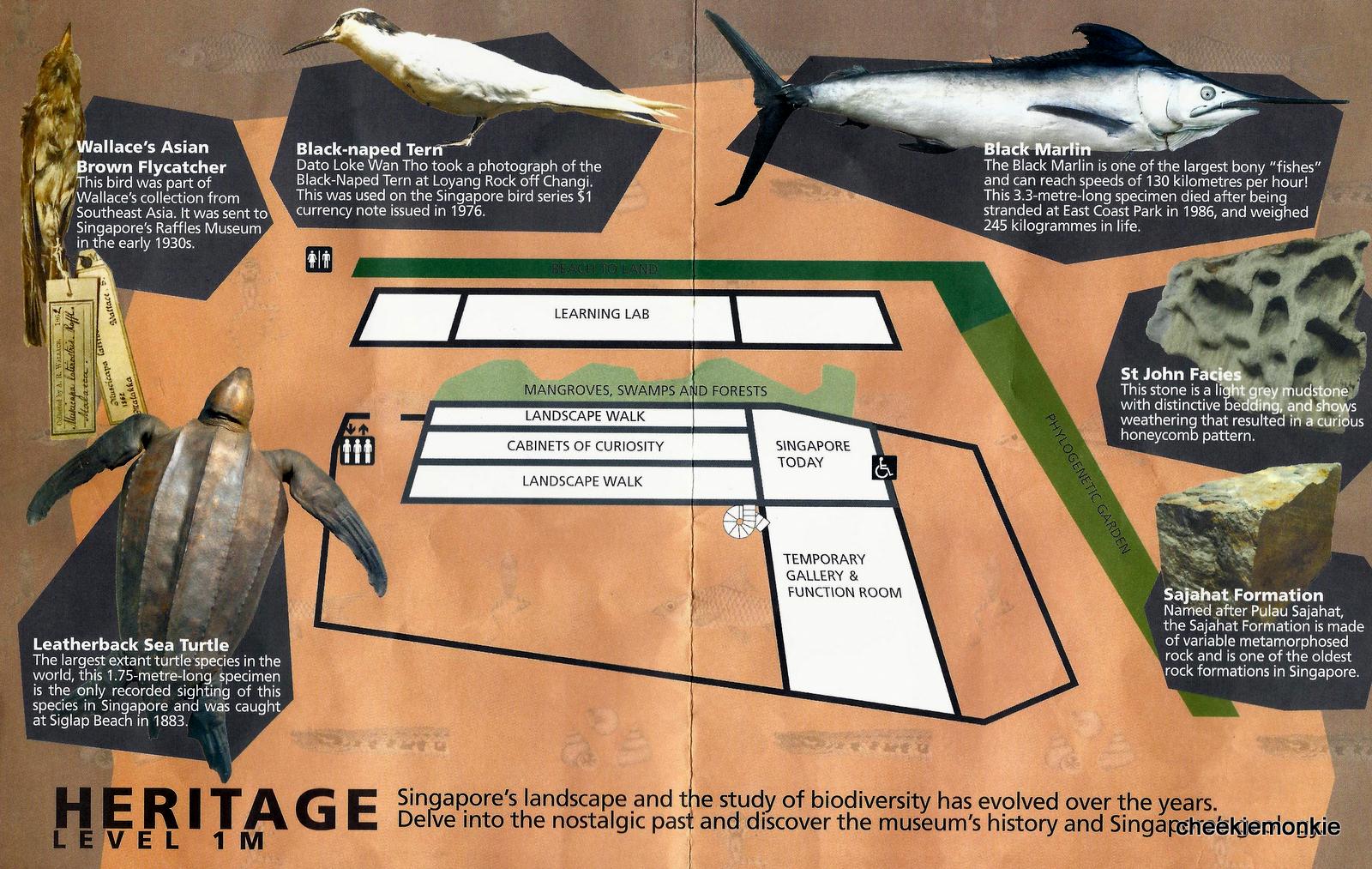 Cheekiemonkies: Singapore Parenting & Lifestyle Blog: 11 Things to Know ...