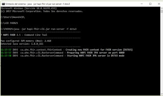 ¿Cómo instalar HAPI FHIR en 15 minutos?
