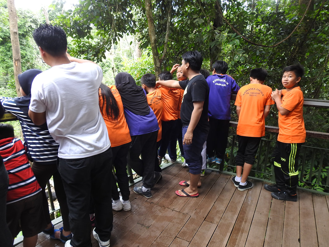 Siew Te Wong's Sun Bear Journal: 2018