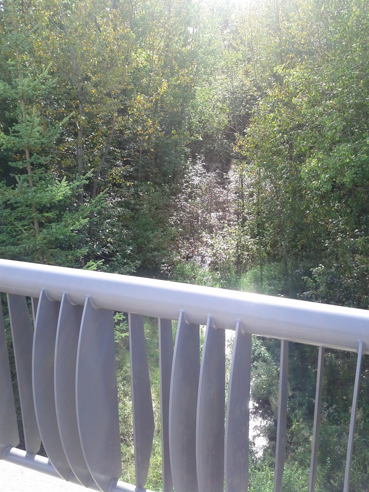 Family Fun - Adventures in Edmonton: Family Hike: Wedgewood Ravine ...