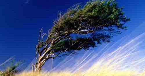 Pengertian Angin, Sifat dan Macam-macam Angin - Kursus Permata