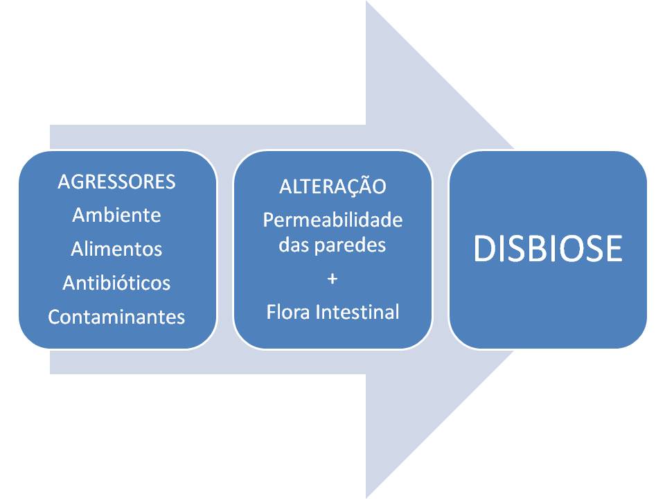 Vida moderna sem toxinas: DISBIOSE INTESTINAL