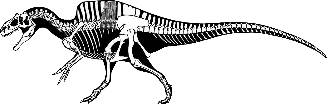 Mundo Pré-Histórico: Becklespinax - espinhos misteriosos