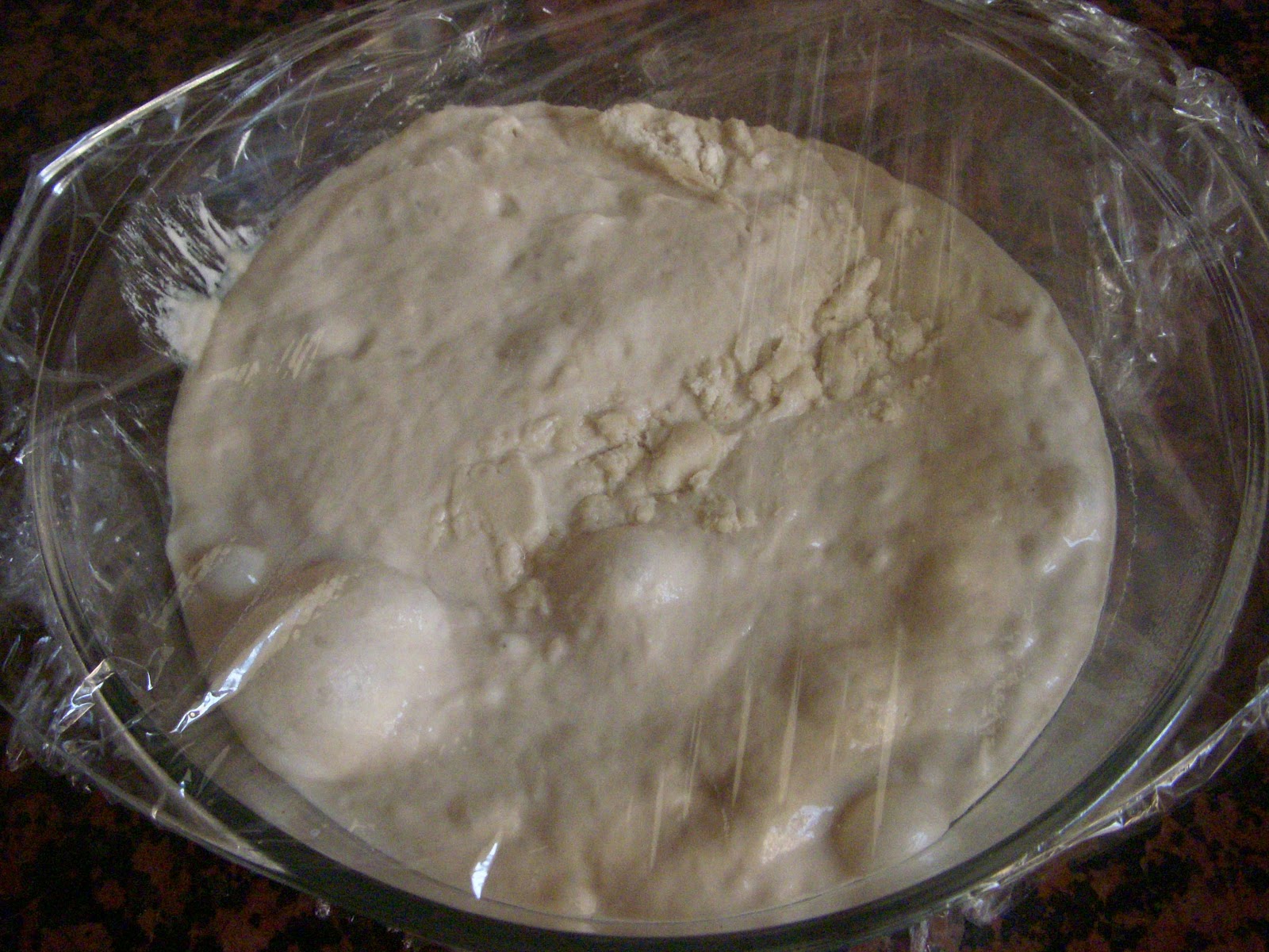 la cocina de valenciana: MI MASA MADRE AL 5º DIA DE INICIARLA