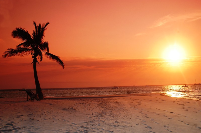 Milktart...Life through my eyes