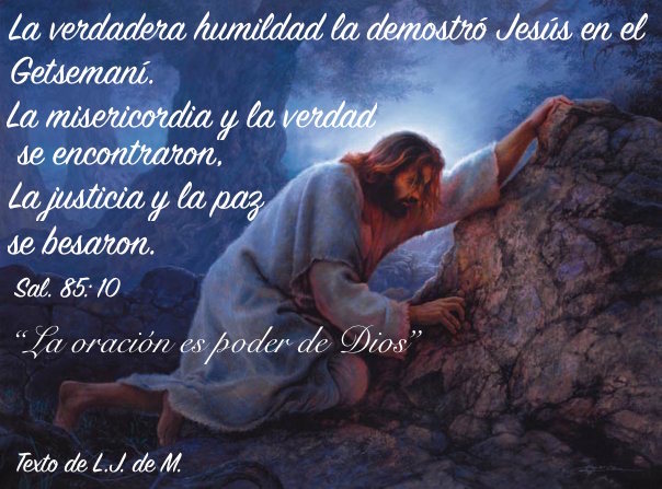 Meditaciones Matinales: LA GRAN TRISTEZA DE JESÚS.