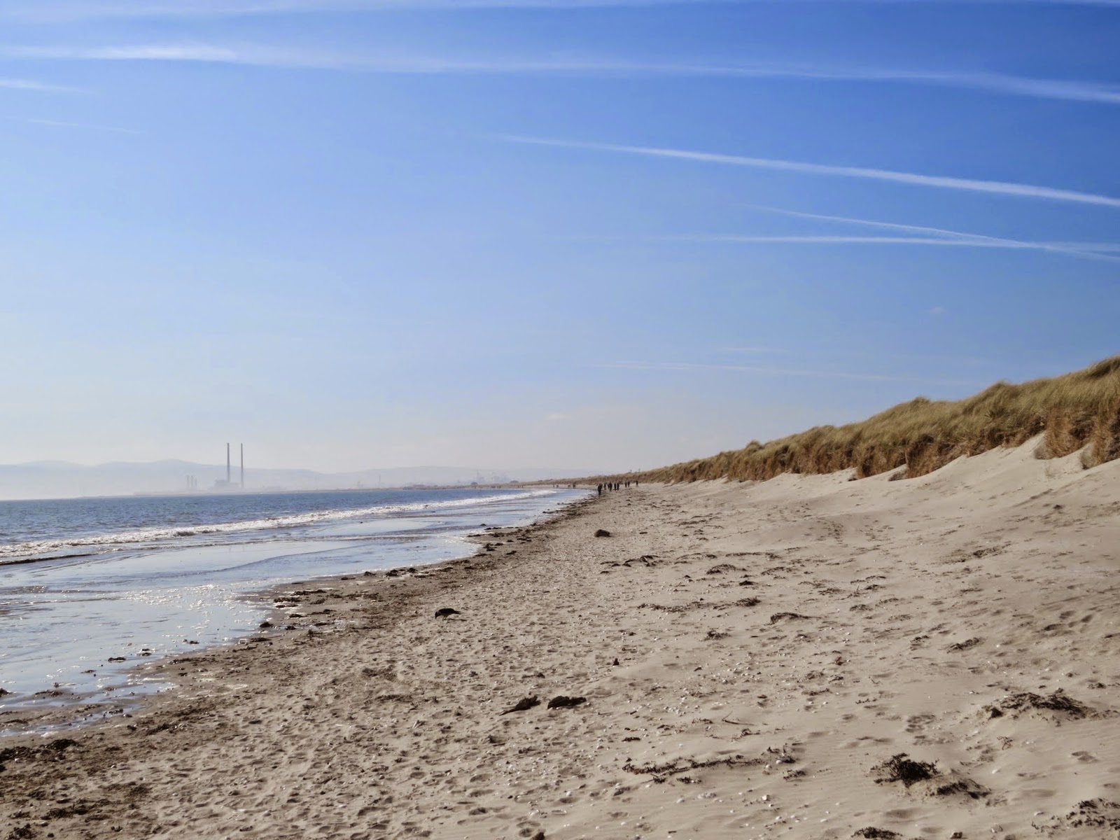 How to Make the Most of a North Bull Island Walk in Dublin