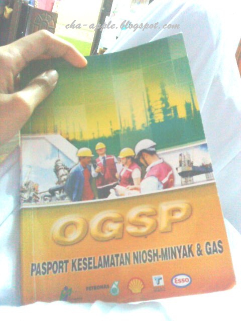Infinite Charm by Cha: Oil and Gas Safety Passport (OGSP)
