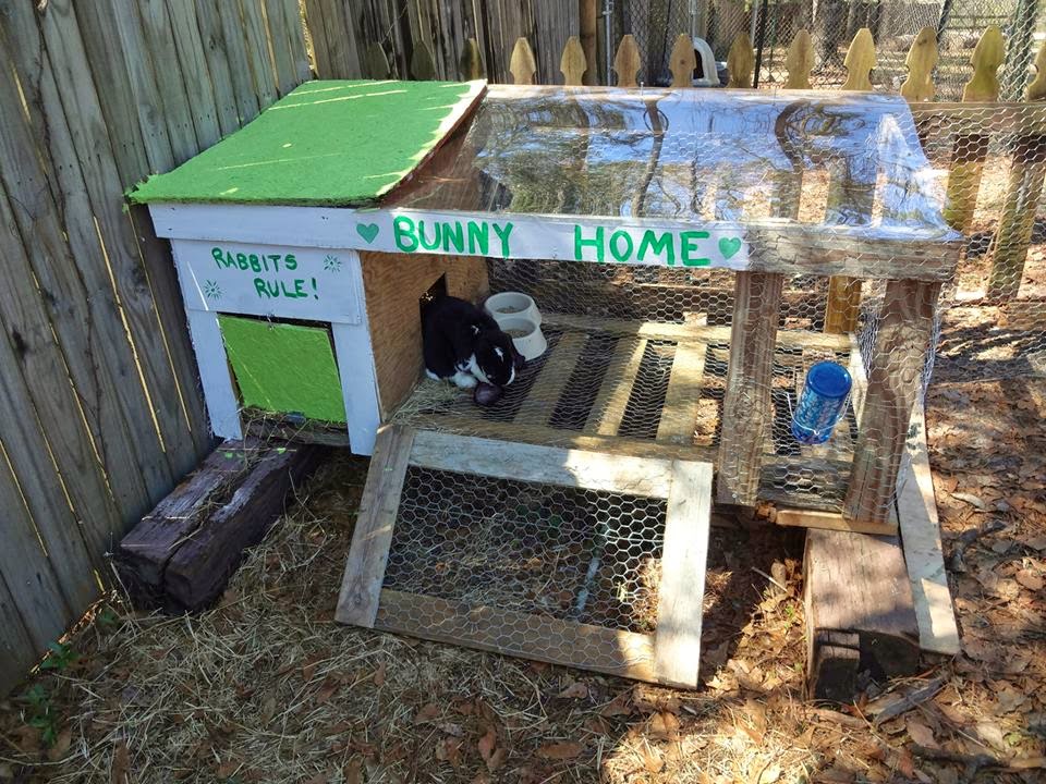 5 Kids 6 Months: Thriftiness - DIY Recycled Pallet Creations