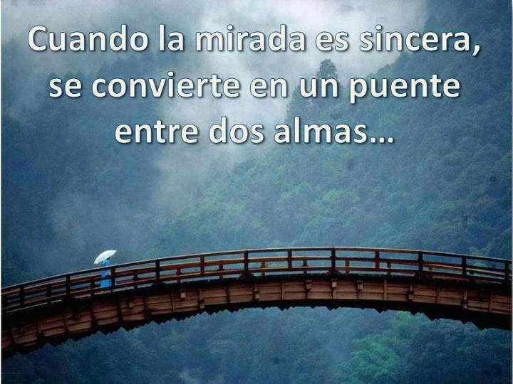 FRASES DE AMOR LINDAS: Cuando la mirada es sincera, se convierte en un ...