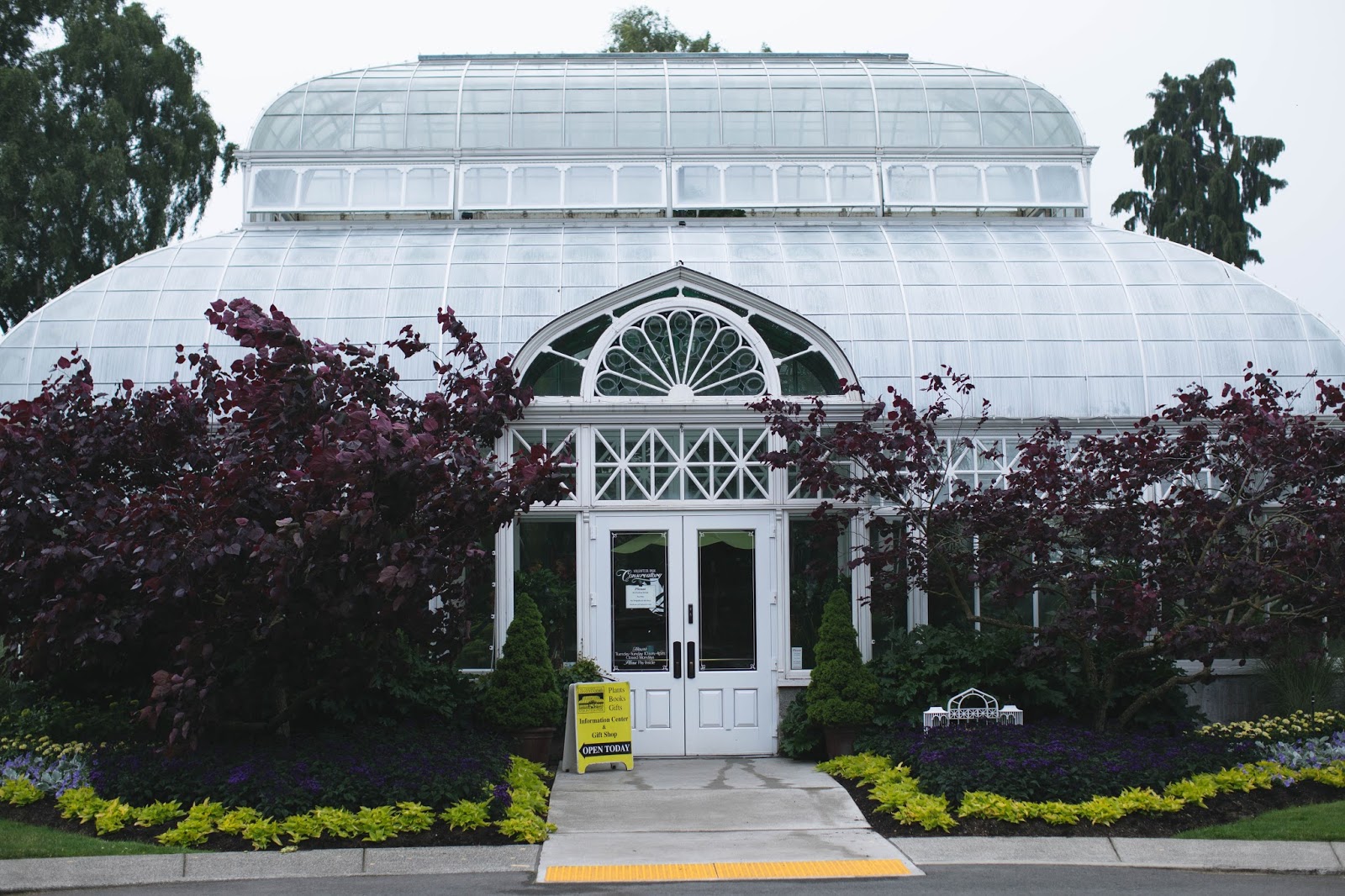 Lattes & Layers: Volunteer Park Conservatory in Seattle, WA