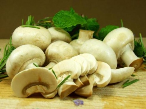 Totul despre cresterea ciupercilor