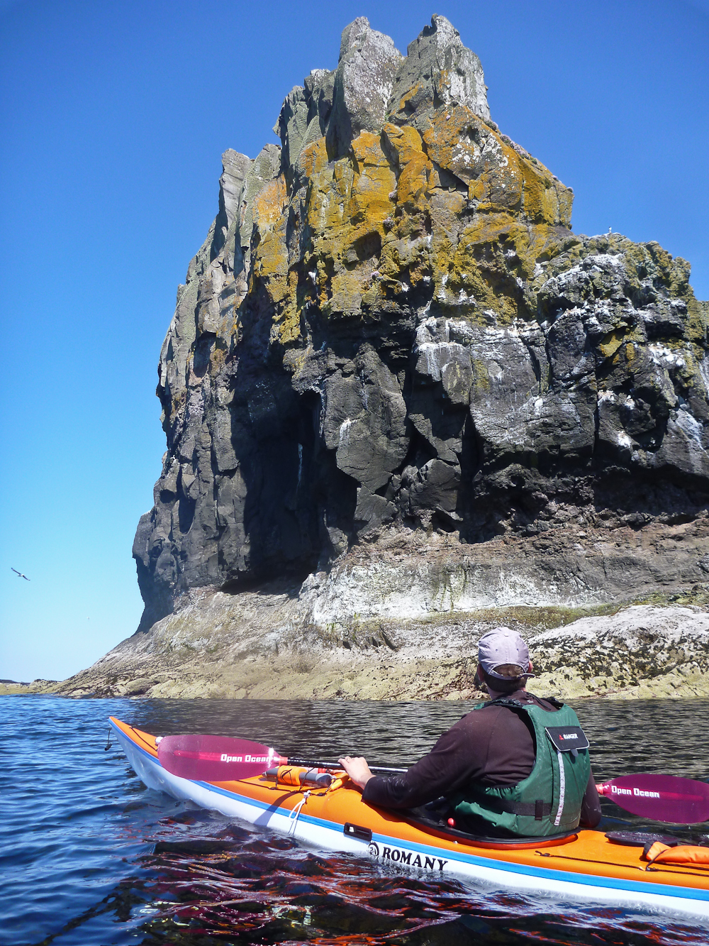 Fenfolio: Ardnamurchan & Treshnish Isles