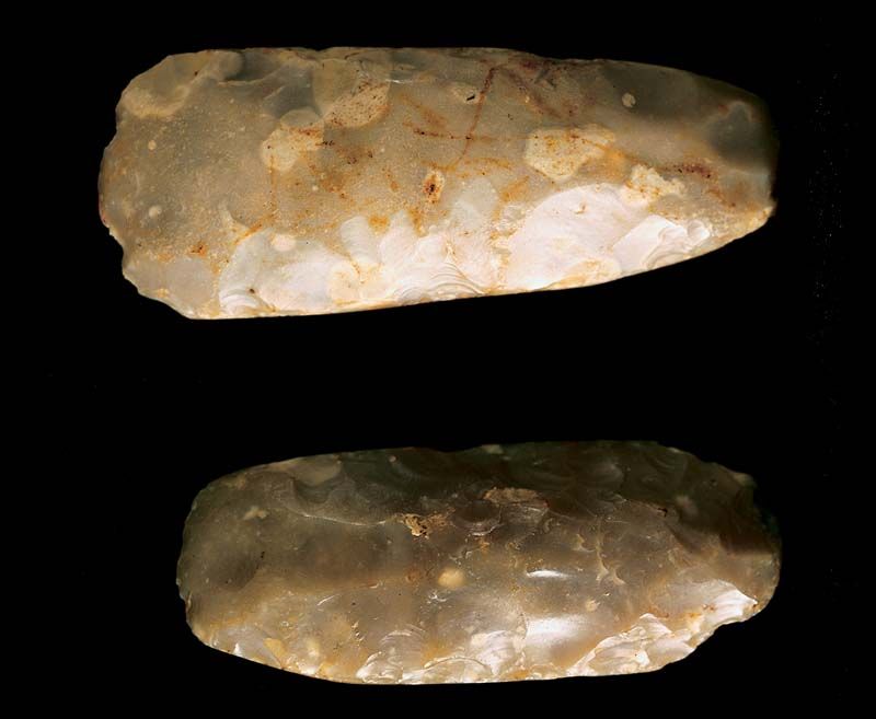 Mike's Classroom: El paleolítico