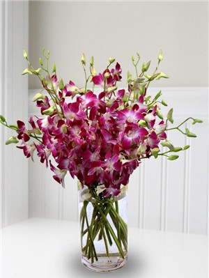 STANDING FLOWER: Buket Anggrek Meja