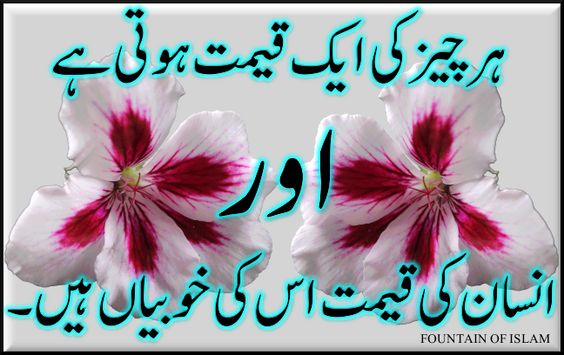 100 Achi Batain With Images