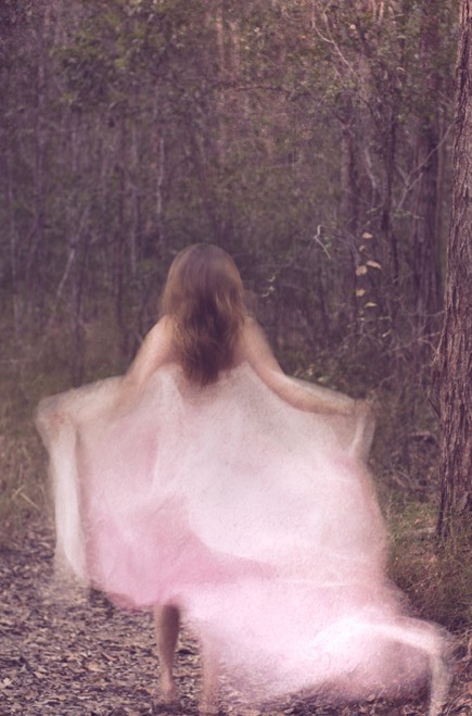 Lawn Ghosts 2012 - The Pink Pixie Forest