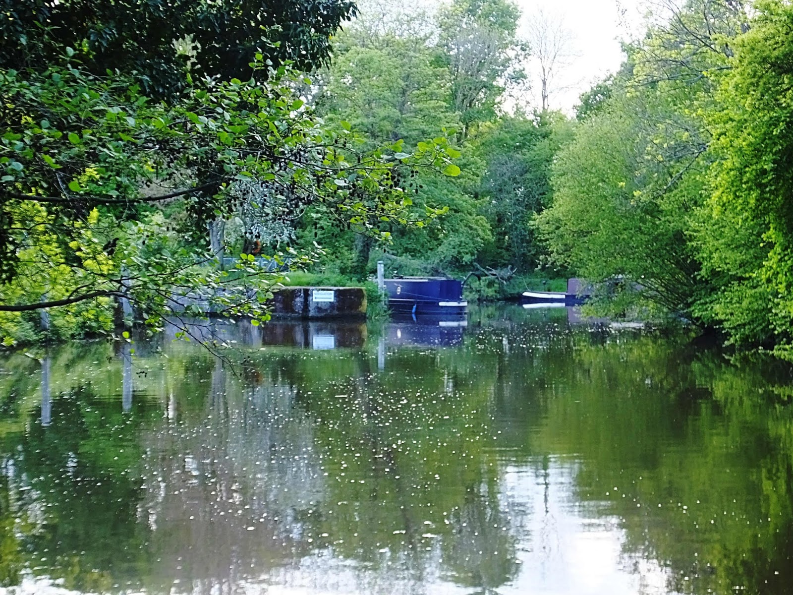My Photos: Yalding & River Medway;Saturday 11th May 2019