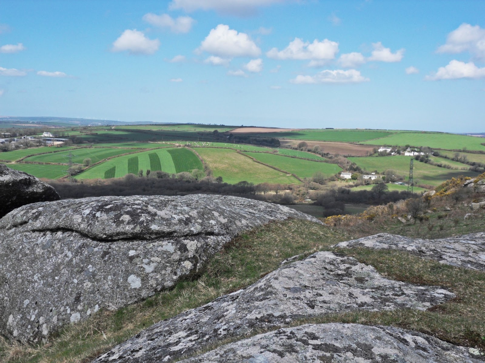 67 Not Out: The Granite Dinosaur And Turtle Guarding Helman Tor Cornwall