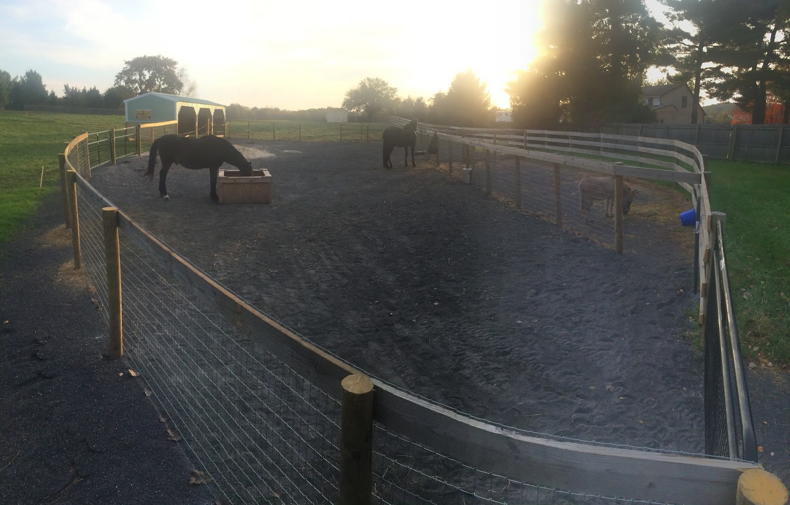 Building & Managing the Small Horse Farm: Dry Lot: Construction (with ...