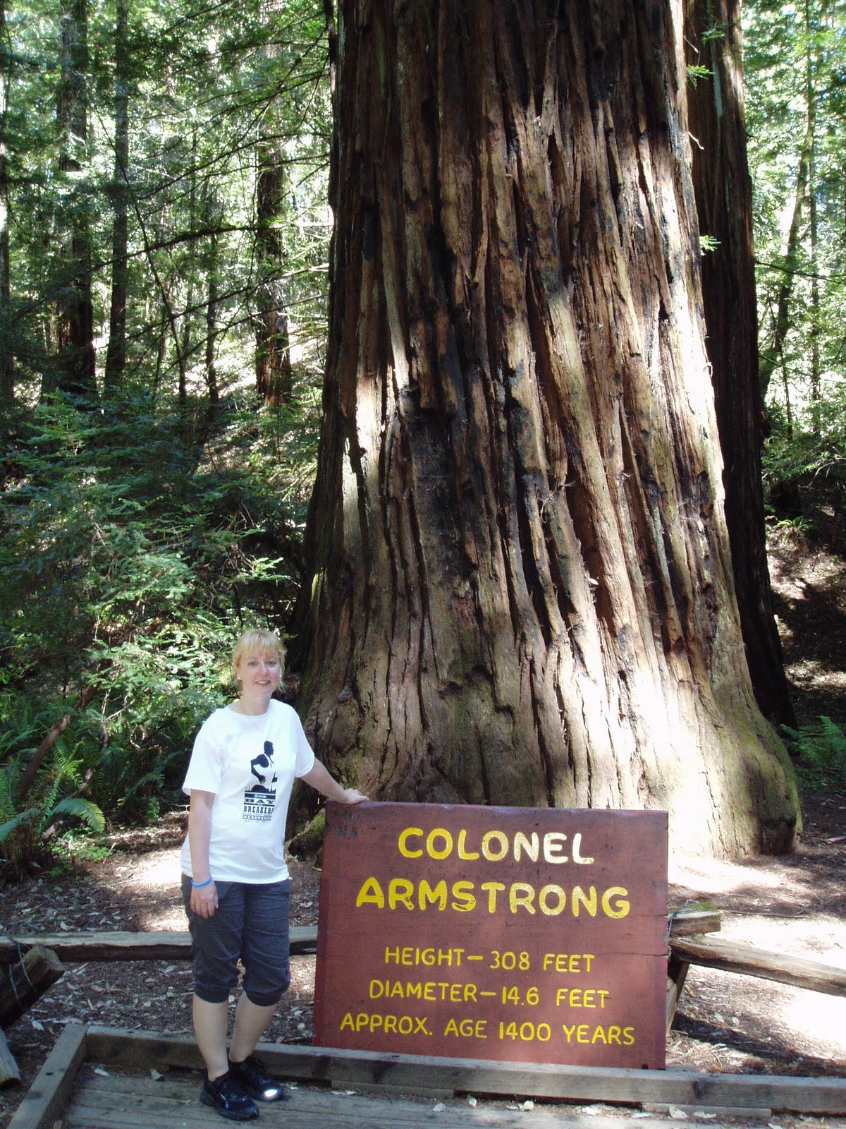 Linnéas Blogg: Armstrong Redwoods State Reserve