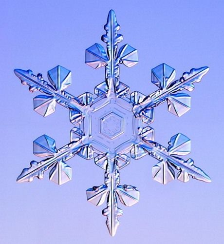 Heraldry of Life: ART with REAL SNOWFLAKES