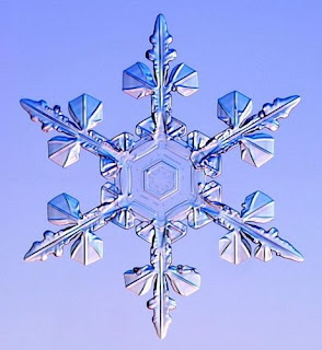 Heraldry of Life: ART with REAL SNOWFLAKES