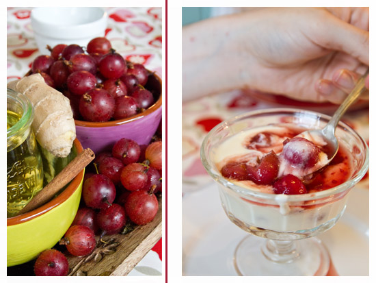 Fabi´s Culinariyumm: Gooseberry Compote