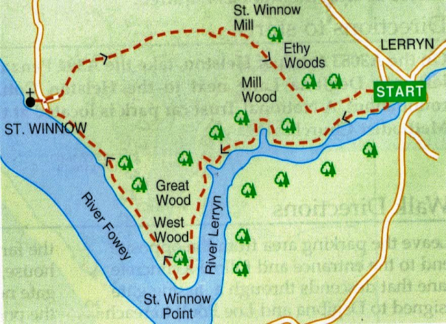 Mike's Cornwall: A Walk At Lerryn, Cornwall With River and Country ...